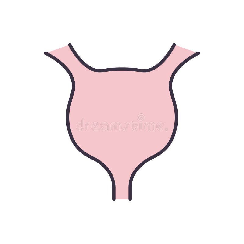 Bladder Vector Icons stock vector. Illustration of health - 282474692