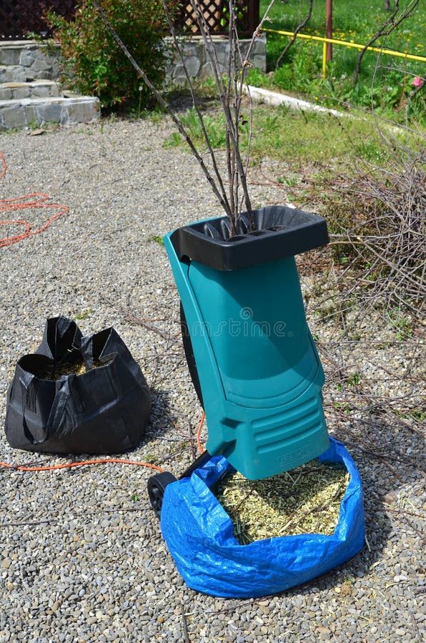 Shredded Branches Used for Compost or Mulching Stock Photo - Image of ...