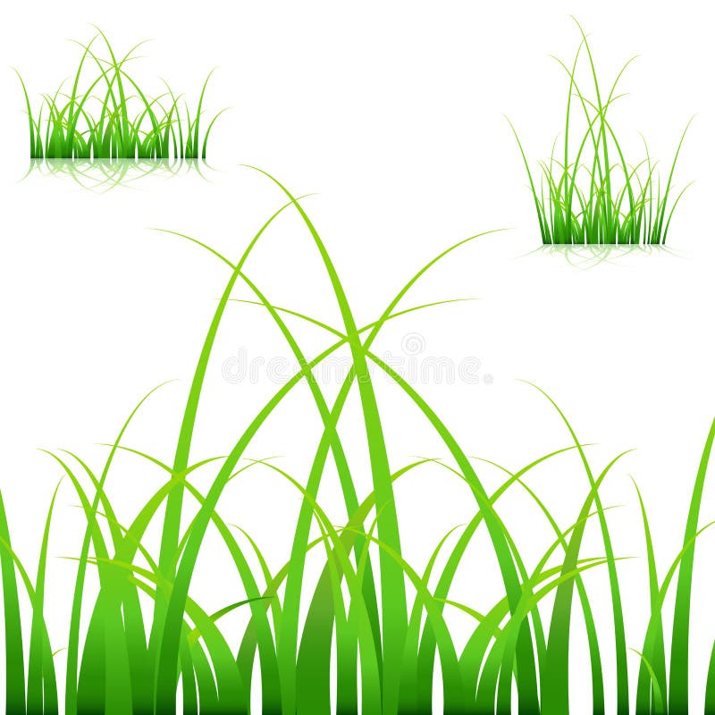 Blades of Grass stock vector. Illustration of transparent - 19301482 Blades of Grass stock vector. Illustration of transparent - 19301482
