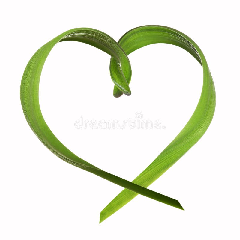 Grass and Heart Sign in Sky Stock Photo - Image of natural, nature ...