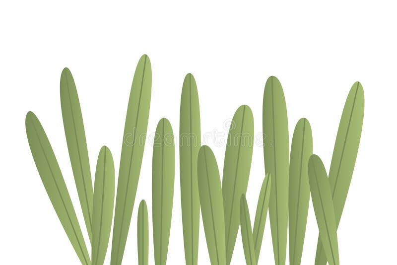 Blades of green grass stock vector. Illustration of silhouette - 290356534