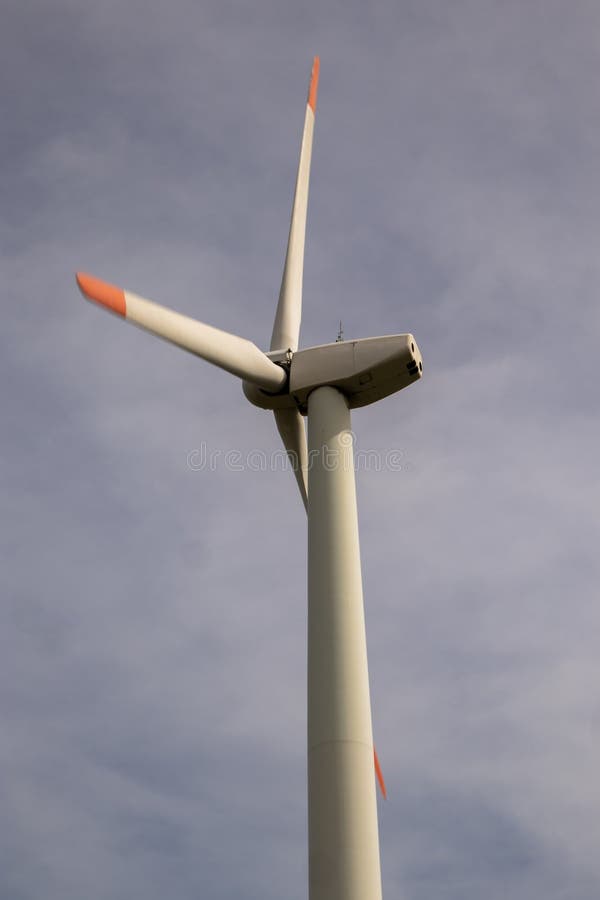 Fins under the sky stock photo. Image of electricity - 276147908