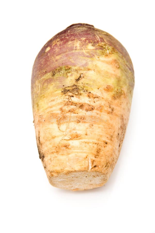 Blanc D'isolement De Rutabaga Photo stock - Image du fond, ingrédient ...