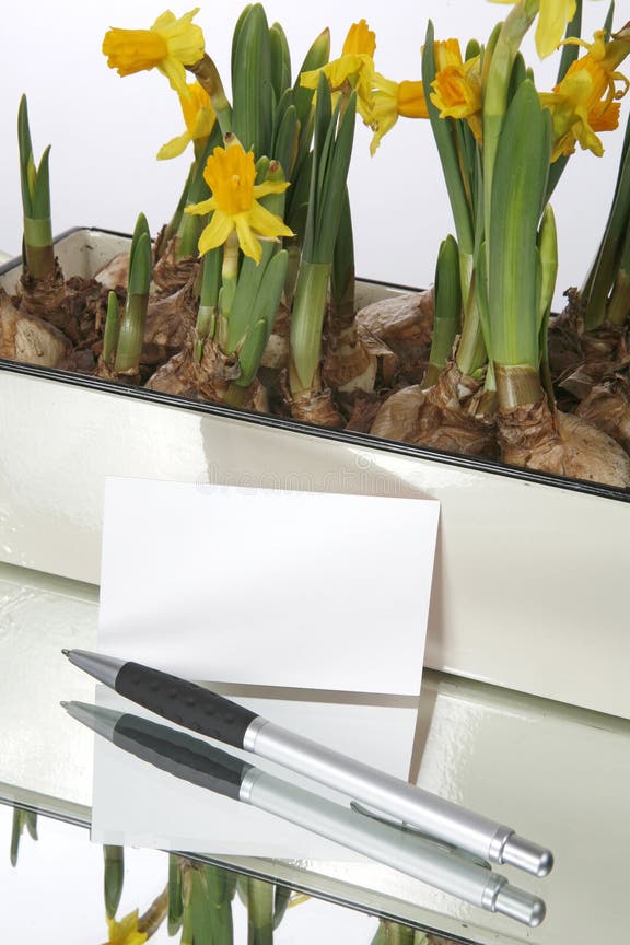 Blanc note stock photo. Image of note, card, blanc, friendship - 2091616