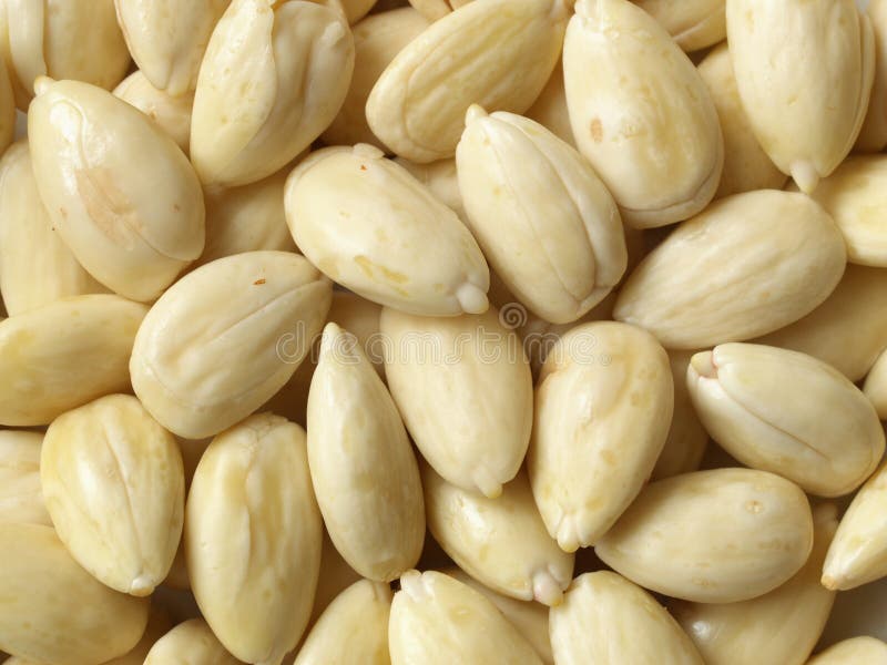 Blanched almonds stock photo. Image of tasty, healthy - 23462166
