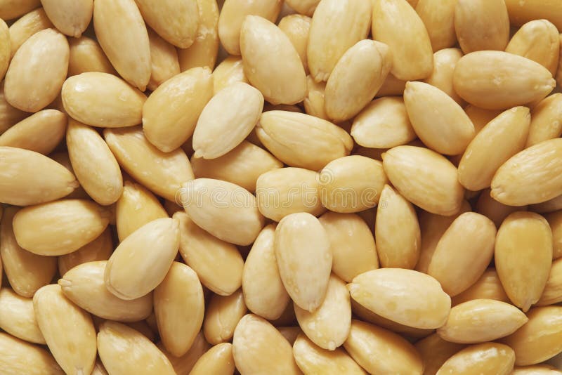 Blanched almonds stock photo. Image of tasty, healthy - 23462166