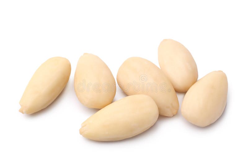 Blanched almonds stock photo. Image of tasty, healthy - 23462166