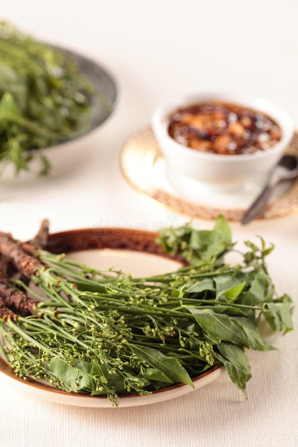 Blanched Nim leaf-5 stock photo. Image of roasted, leave - 11860270