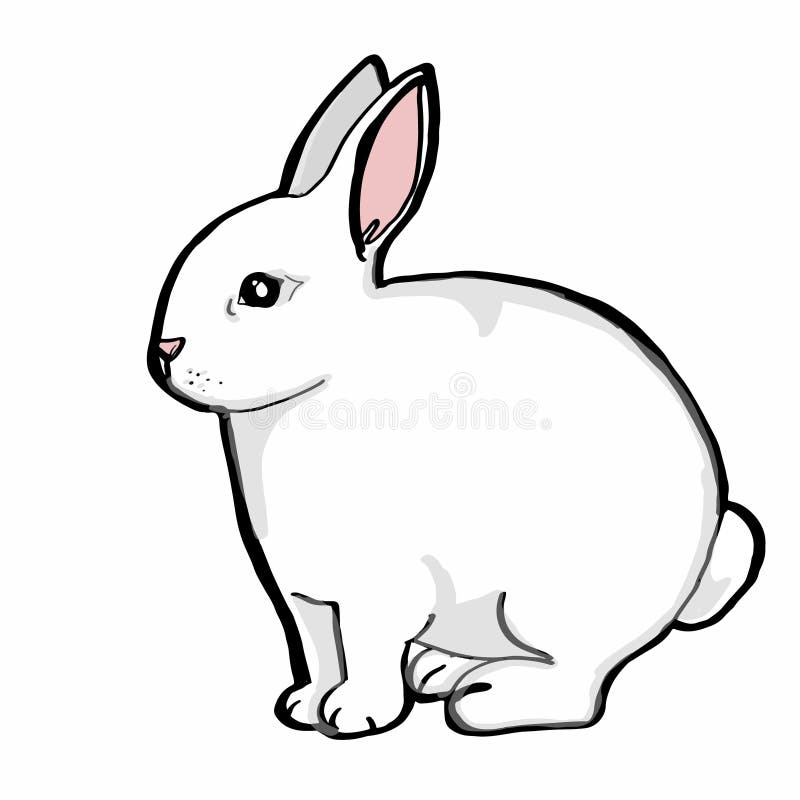Dibujo realista del conejo ilustración del vector. Ilustración de ...