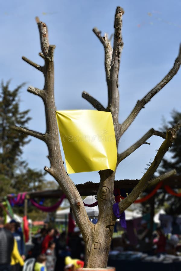Blank Banner,hanging on Tree, Yellow Color Stock Photo - Image of frame ...