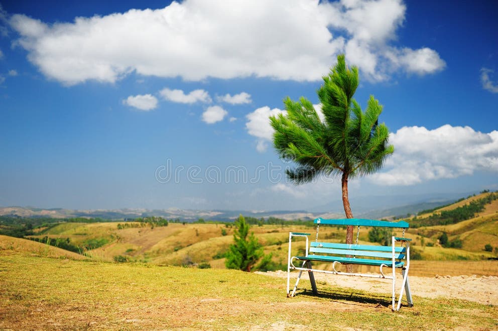 Blank bench landscape stock photo. Image of chair, holiday - 22765922