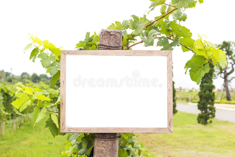 Blank Billboard with Free Space for Text or Public Message Board Stock ...