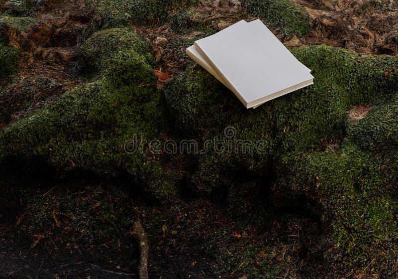 Blank Cover Notepad Face and Back Side Sketchpad Empty Template Clear ...