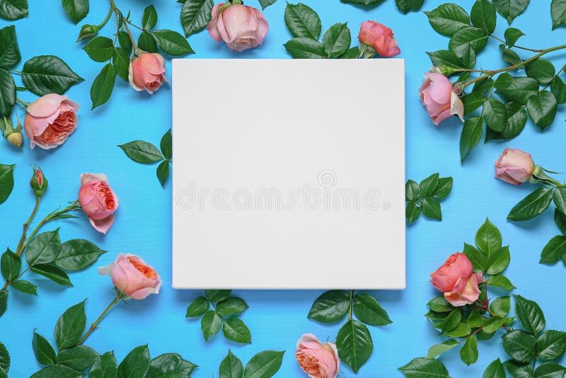 Blank Canvas and Beautiful Pink Roses on Blue Background, Flat Lay ...