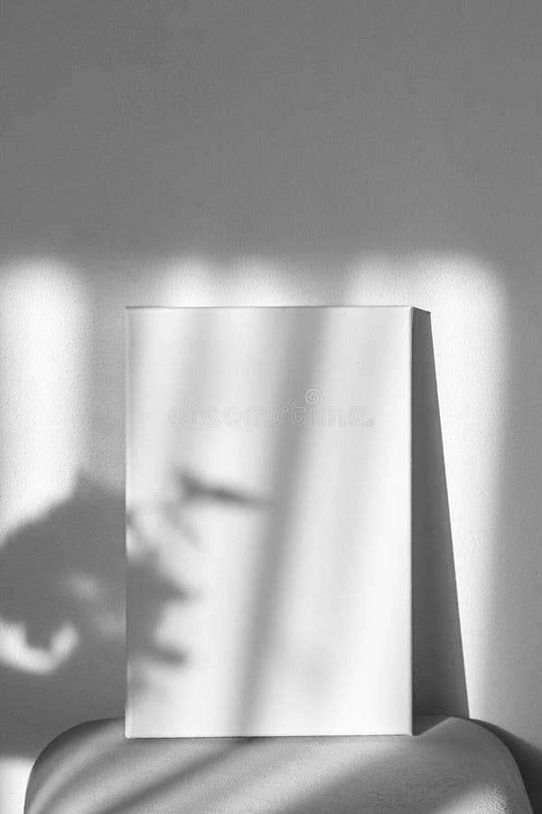 Blank Canvas Mockup on Shelf on Wall with Shadows. White Canvas Stock ...