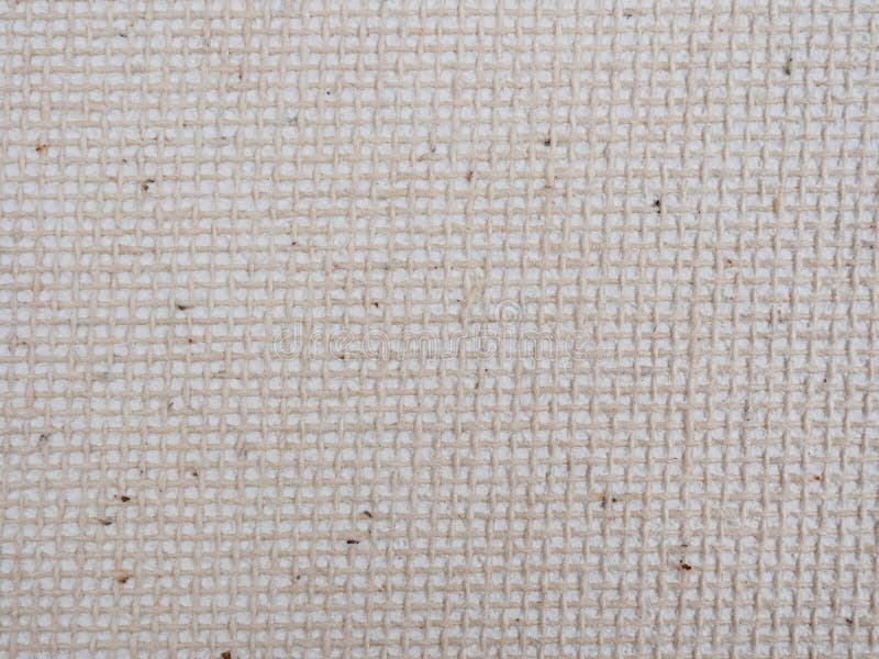 Blank Canvas for Paintings: the Perfect Backdrop for Artistic Creation ...