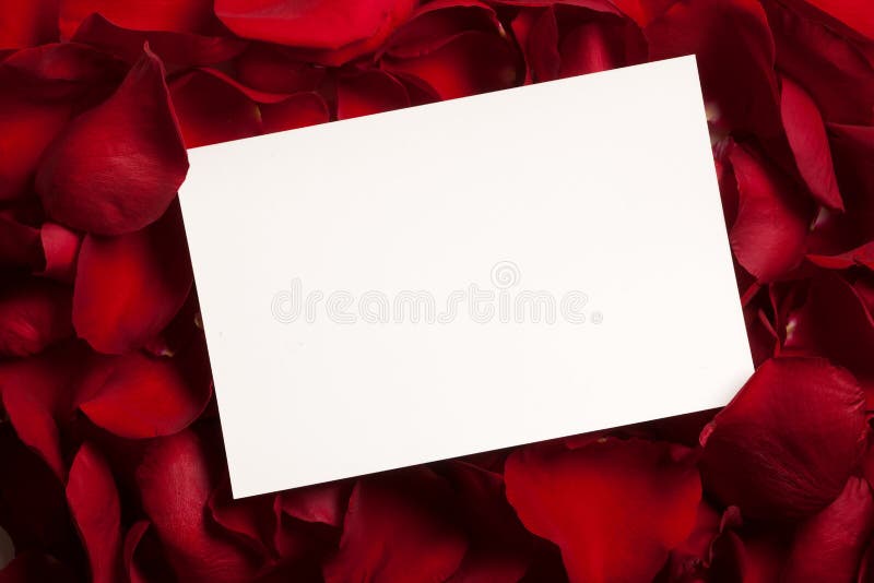 Blank Card on a Bed of Red Rose Petals Stock Photo - Image of border ...