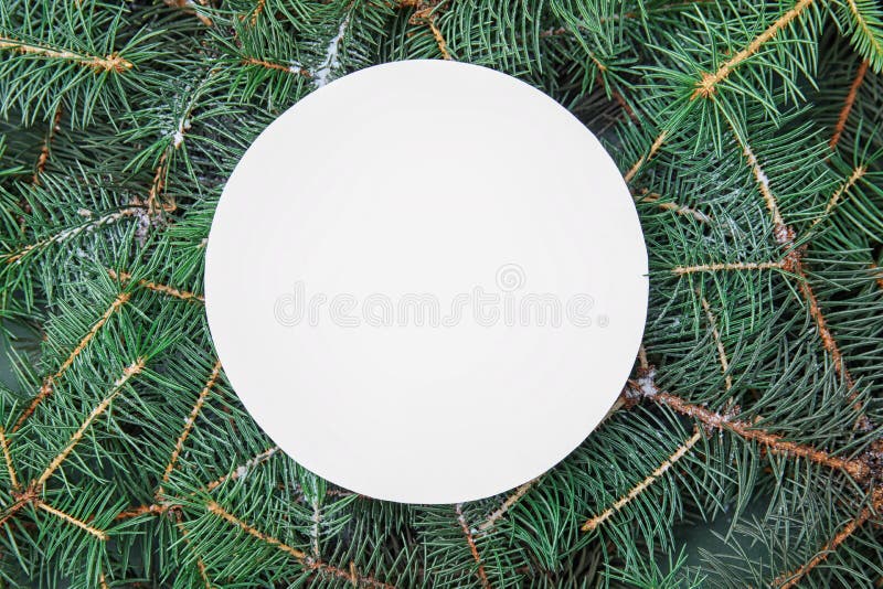 Blank Card on Branches of Christmas Tree Stock Image - Image of concept ...