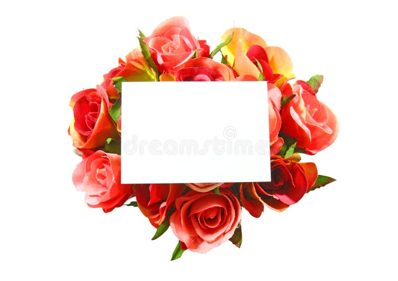 Blank Greeting Card with White Artificial Rose Stock Photo - Image of ...