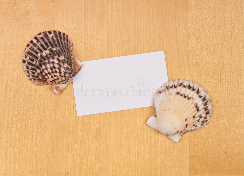 Blank Card with Shells stock image. Image of advertising - 15728661