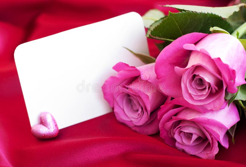 Blank Card for Your Message and Pink Roses Stock Image - Image of heart ...