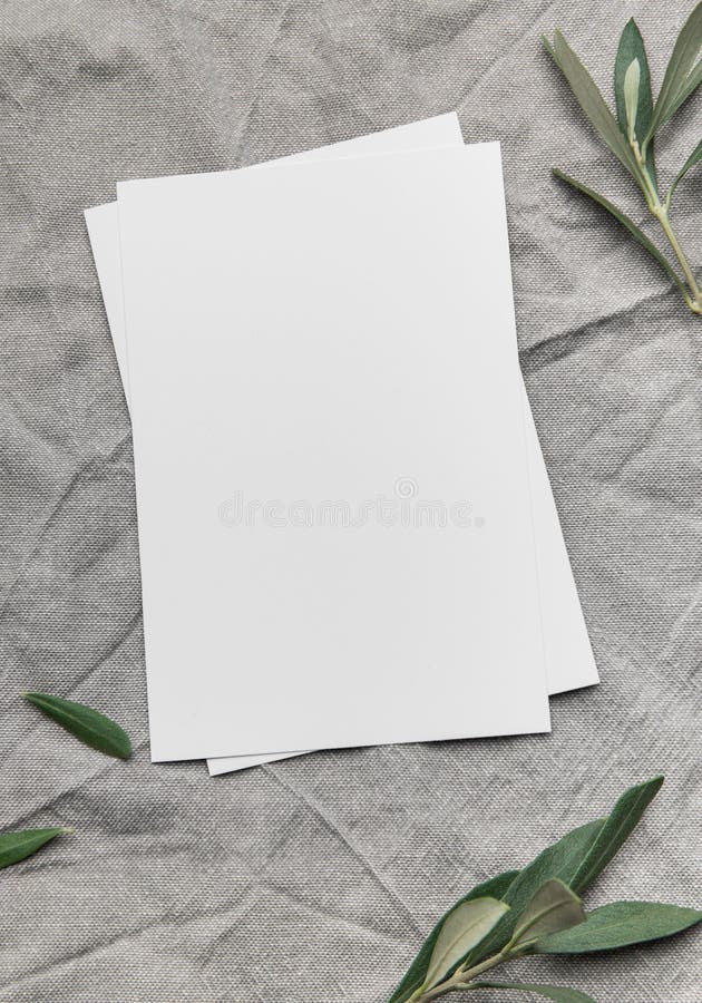 Blank Cards with Olive Branches Resting on Gray Linen Fabric Stock ...