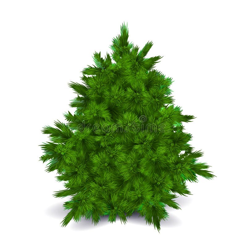 Blank Christmas Tree stock vector. Illustration of close - 78461767