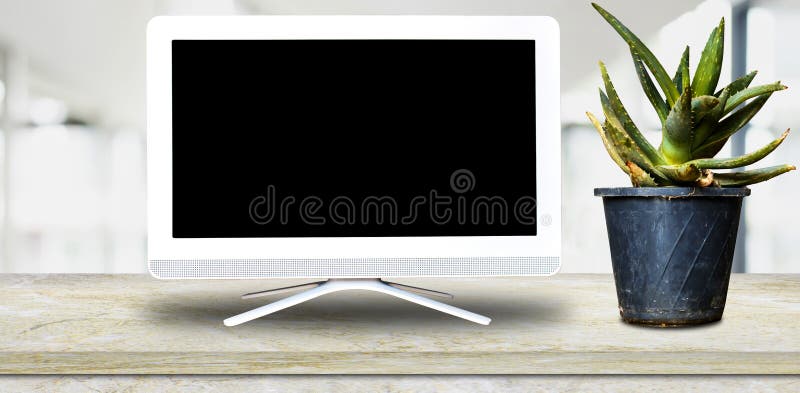 Blank Computer Screen with Aloe Vera Pot Plant on Marble Board Stock ...