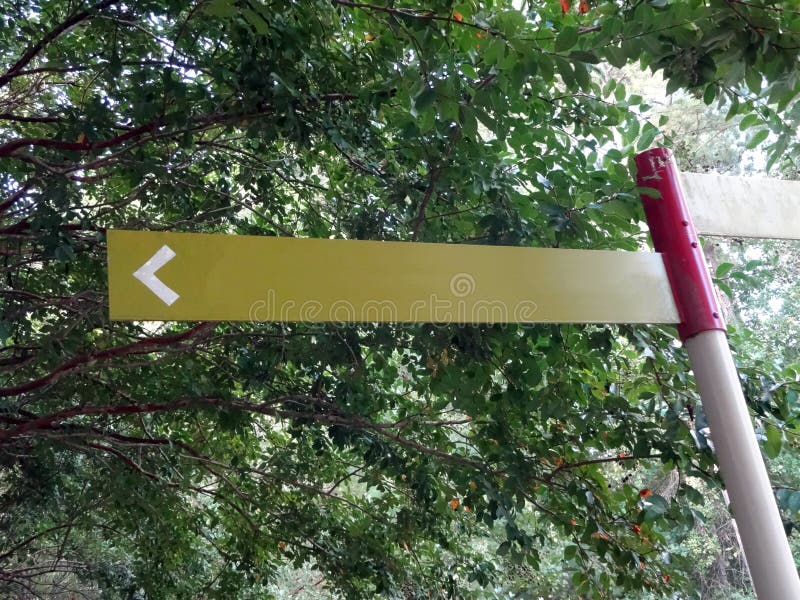 Blank Directional Sign Post Stock Photo - Image of post, woods: 217746472