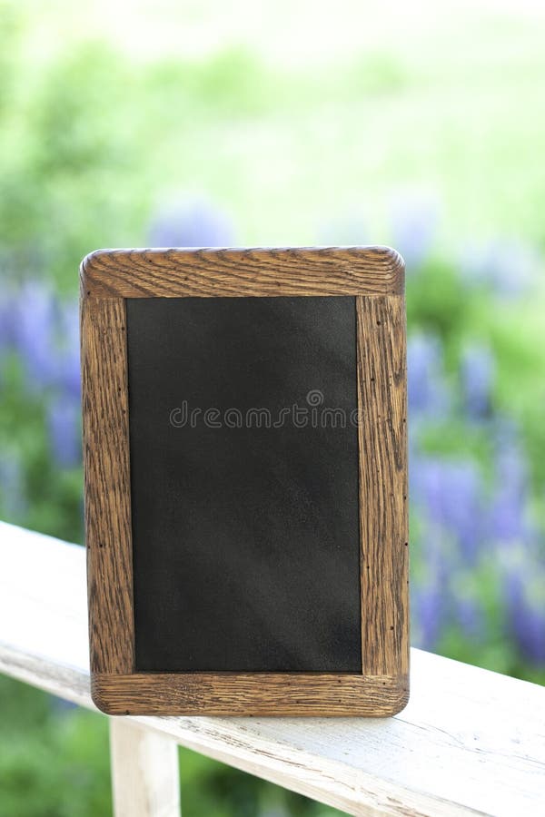 Blank Empty Chalkboard on Summer Background Stock Image - Image of ...