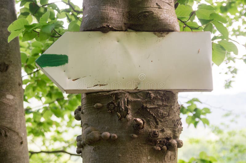 3,071 Blank Sign Board Park Stock Photos - Free & Royalty-Free Stock ...