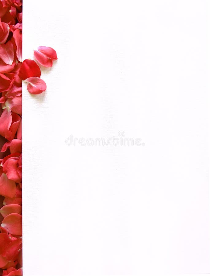 Blank Frame with Rose Petals Borders Stock Illustration - Illustration ...