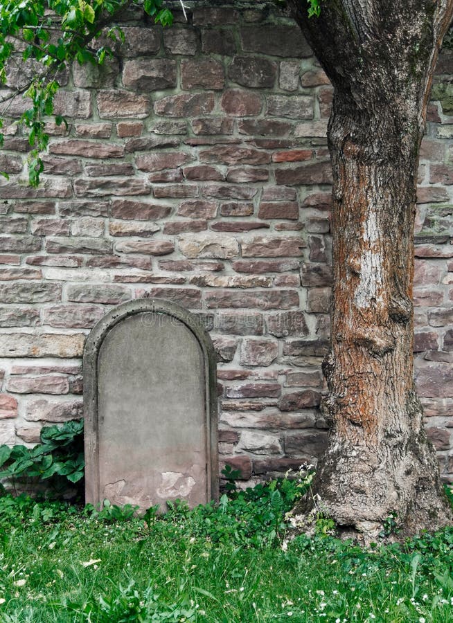 Blank Gravestone Under a Tree Stock Photo - Image of cemetery ...