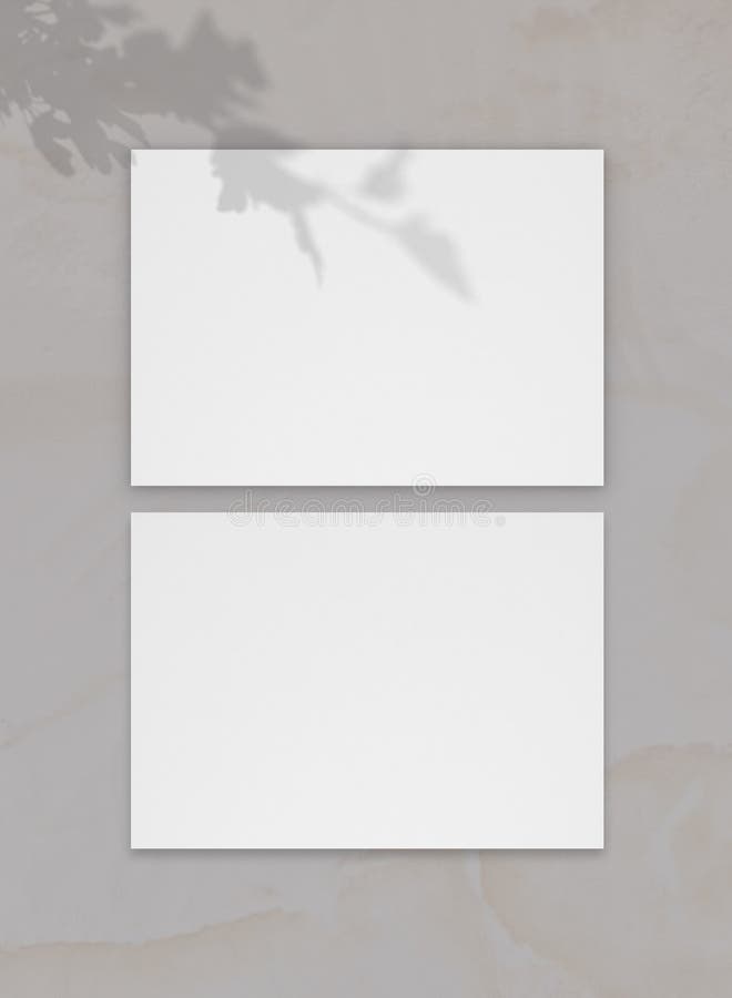 Blank Horizontal Paper Sheet with Leaves Shadow Overlay. for Postcard ...
