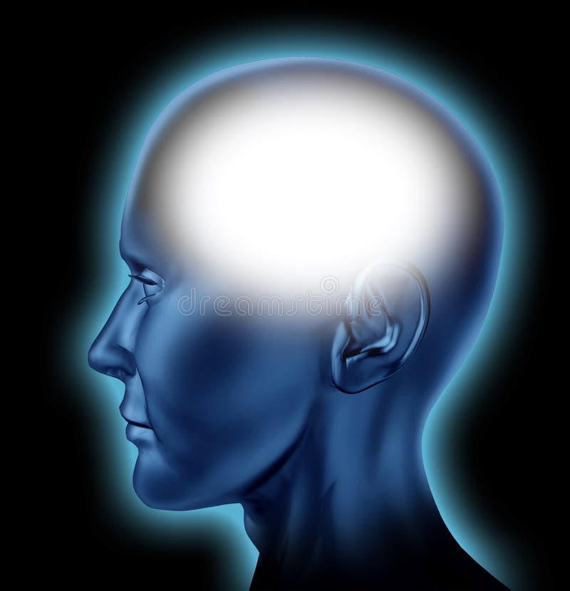 Blank human head stock illustration. Illustration of anatomy - 20875117