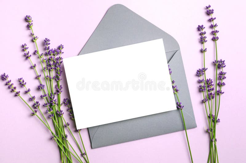 Blank Invitation Card Mockup with Envelope and Lavender Flowers, Blank ...