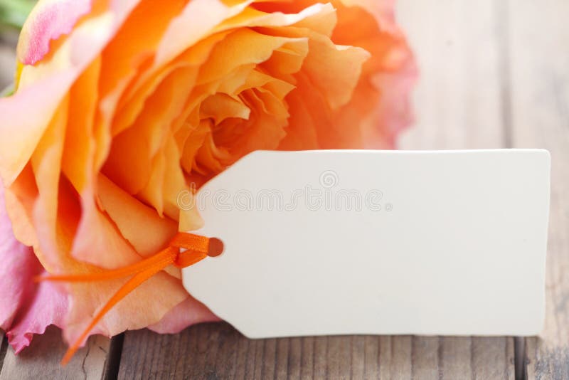 Blank Label stock photo. Image of wood, rose, wooden - 166067660