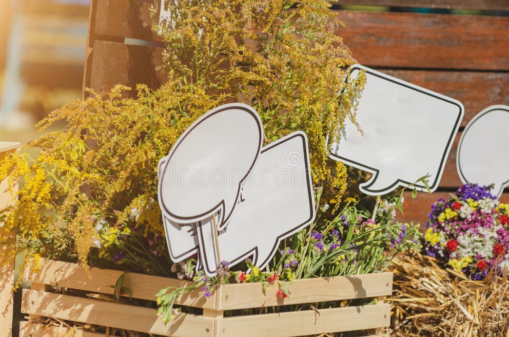 Blank Labels for Inscriptions in the Form of a Bubble Stock Photo ...