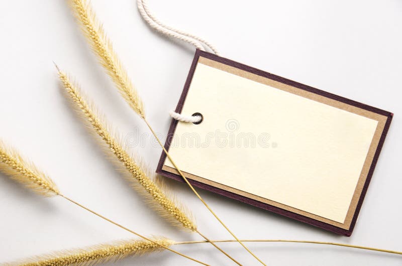 Labels or tags stock photo. Image of package, market - 62447950