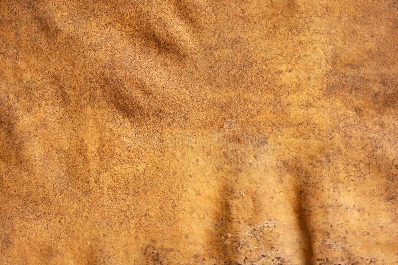 Blank Leather Skin Parchment Texture Bg Stock Photos - Free & Royalty ...