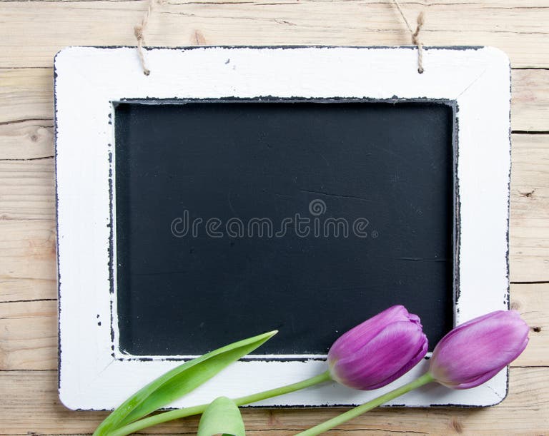 Blank Message board stock photo. Image of message, border - 24717920