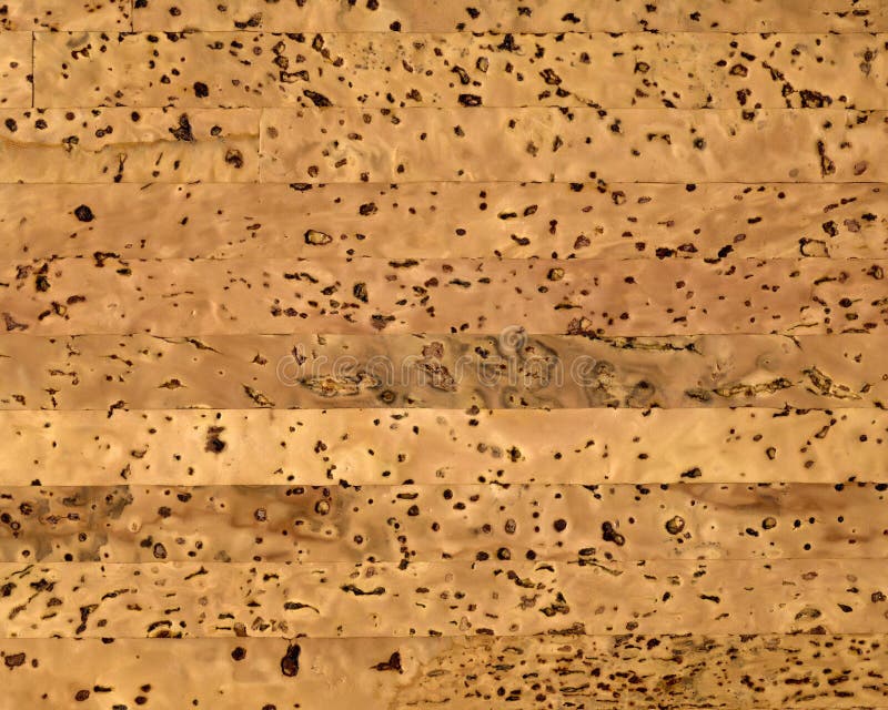 Natural Cork Substrate for a Laminate Stock Image - Image of perfect ...