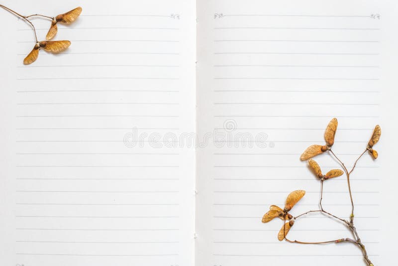 Blank Note Book Paper Texture Line Pattern Background for Handwriting ...