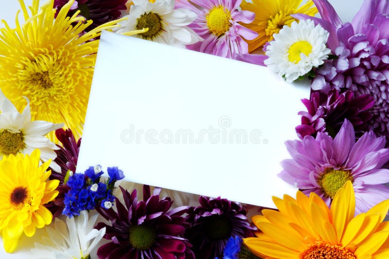 Blank Note-card with Flowers Stock Image - Image of sunflower, bright ...