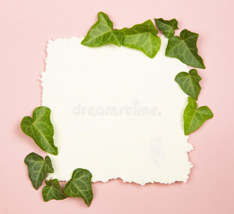 Blank note stock image. Image of blank, decoration, festive - 244121109