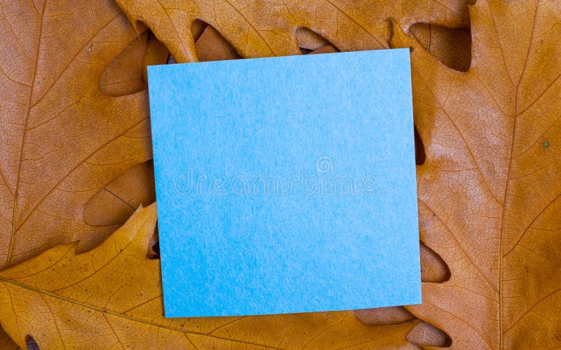 Blank Note on a Notice Board. Autumn Background with Leaves Stock Photo ...