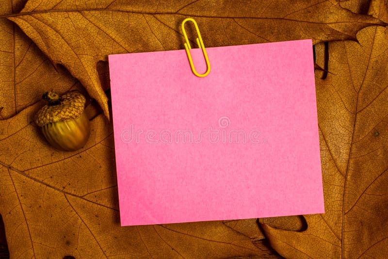 Blank Note on a Notice Board. Autumn Background with Leaves Stock Photo ...