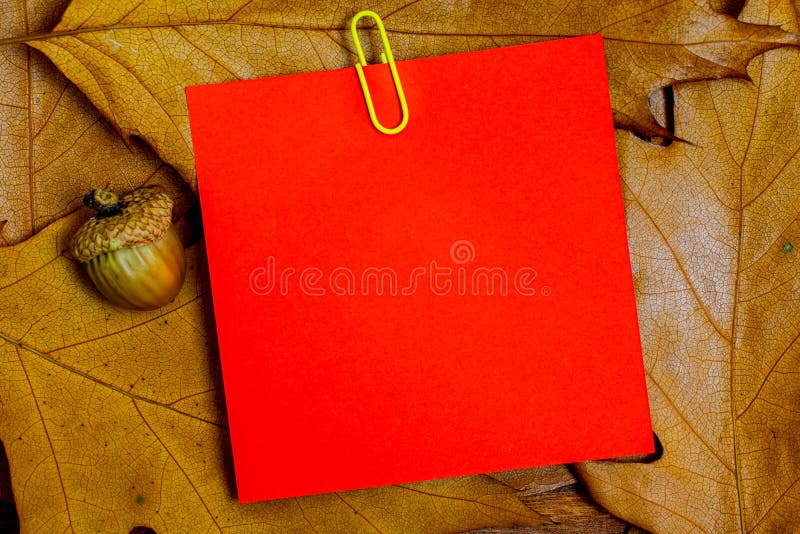 Blank Note on a Notice Board. Autumn Background with Leaves Stock Image ...