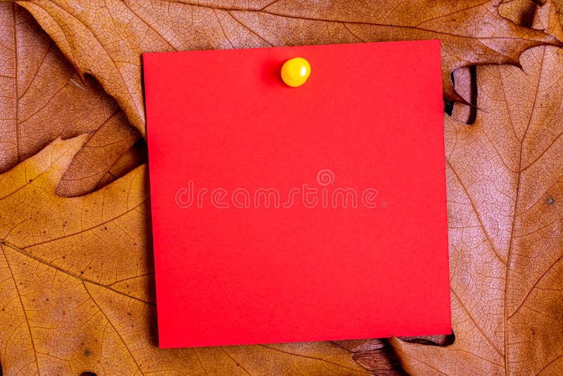 Blank Note on a Notice Board. Autumn Background with Leaves Stock Image ...