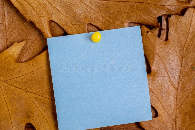 Blank Note on a Notice Board. Autumn Background with Leaves Stock Photo ...